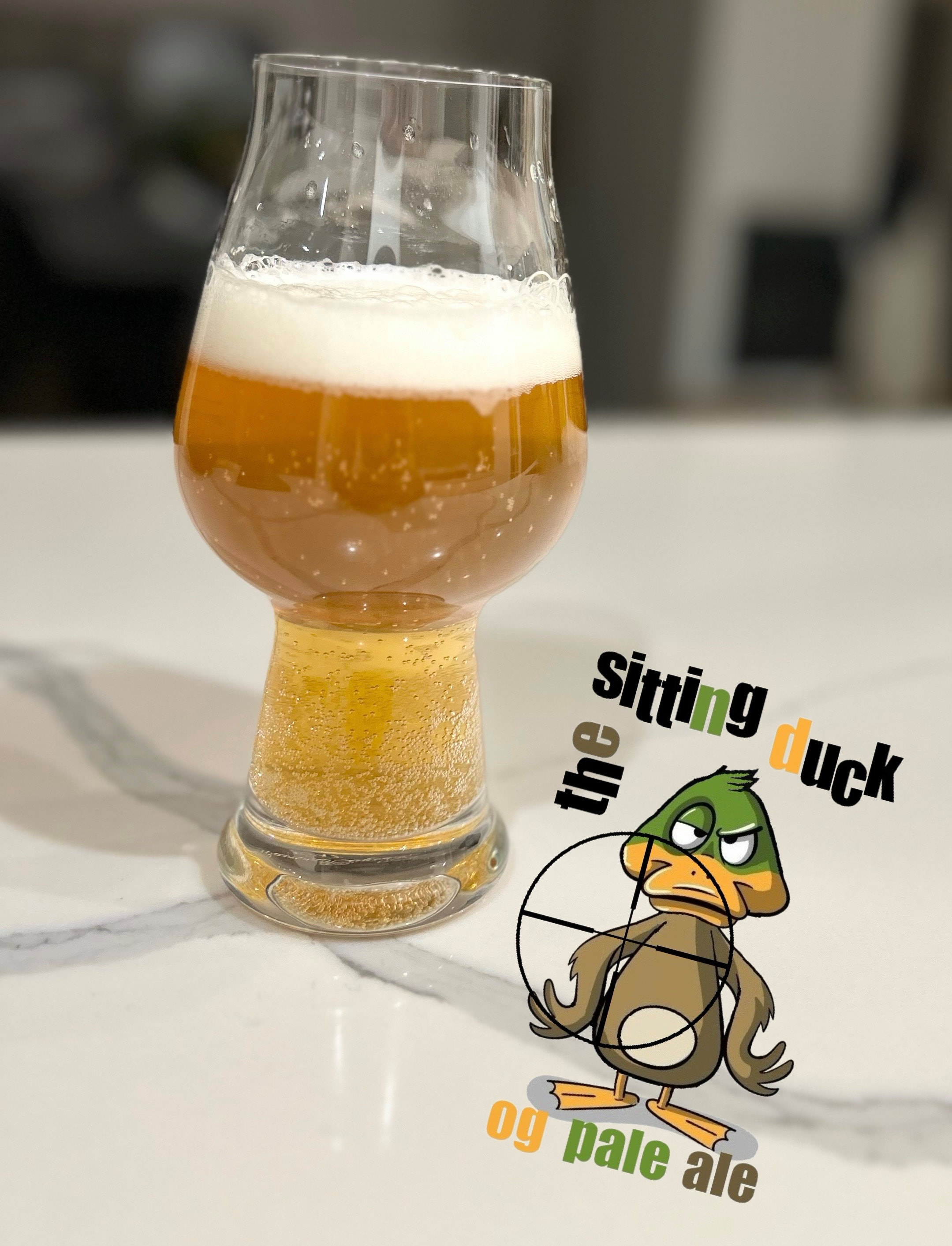 The Sitting Duck OG Pale Ale | 2 Ducks Brewing Co. Craft Beer